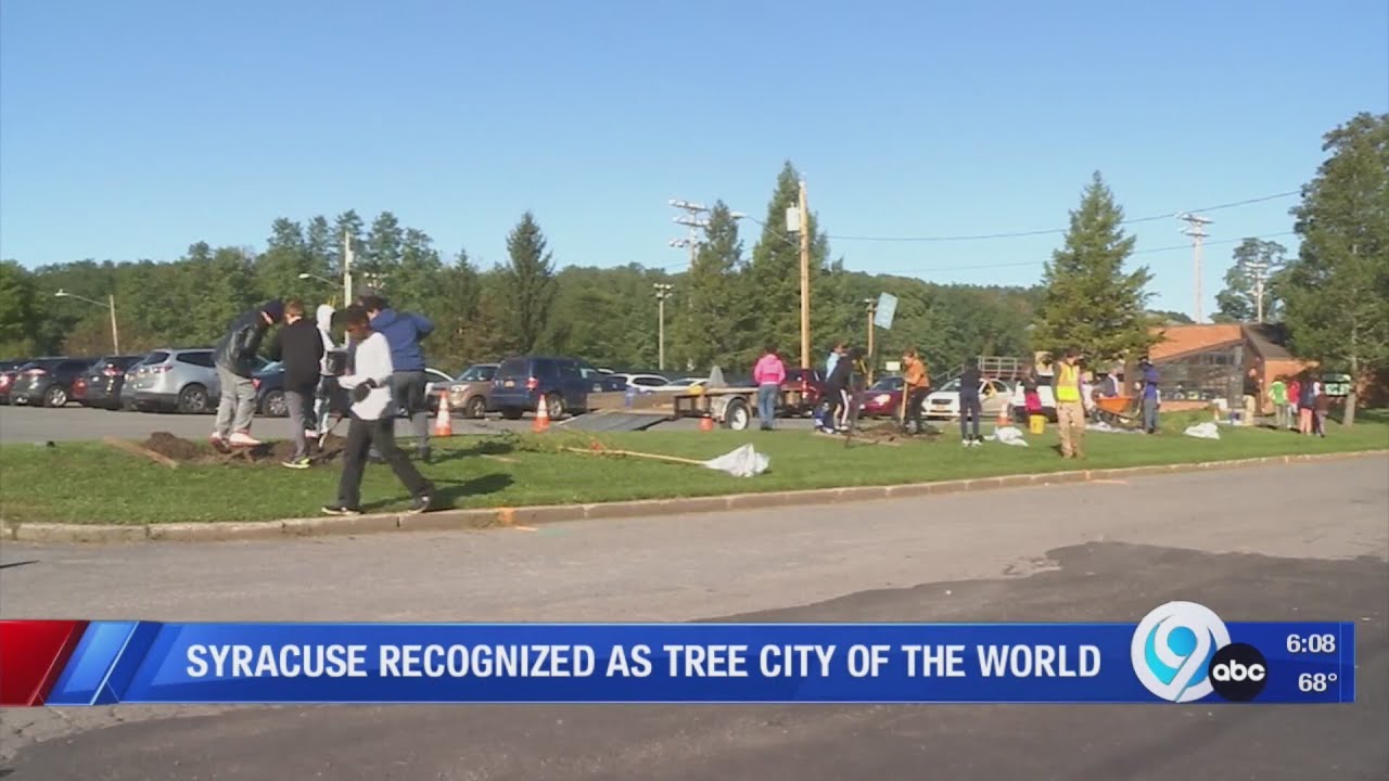Syracuse recognized as Tree City of the World - YouTube