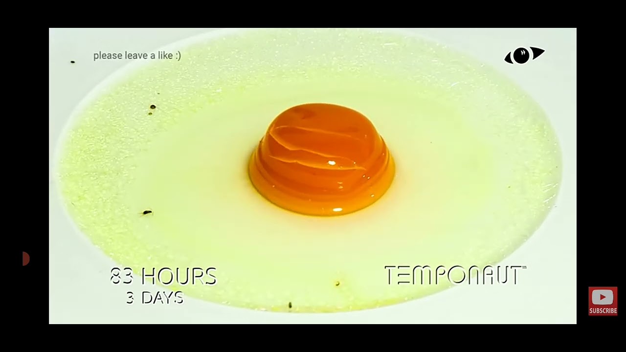 Reacting to a Temponaut Time lapse Video - YouTube