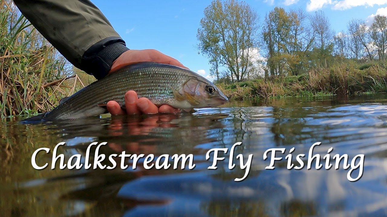 Chalkstream Fly Fishing the Orvis Beat of the River Itchen #fishing # ...