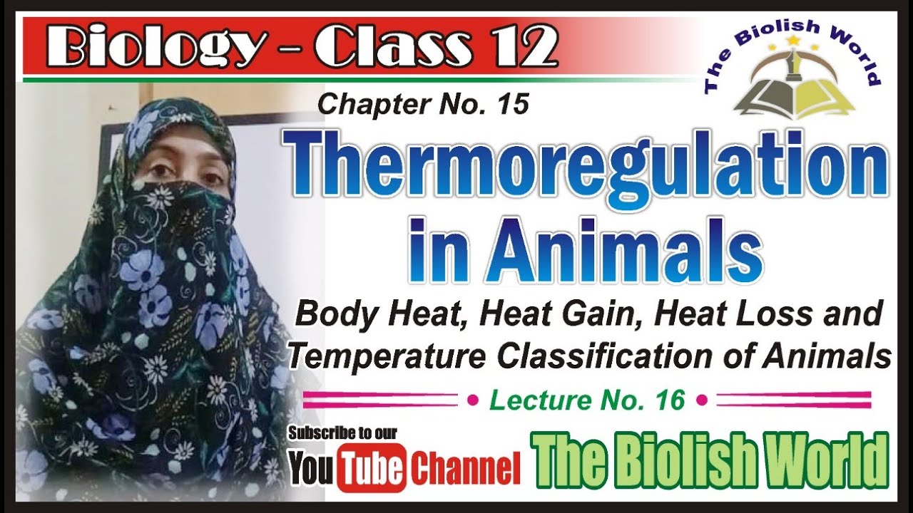 Thermoregulation in Animals (Temperature Classification of Animals ...