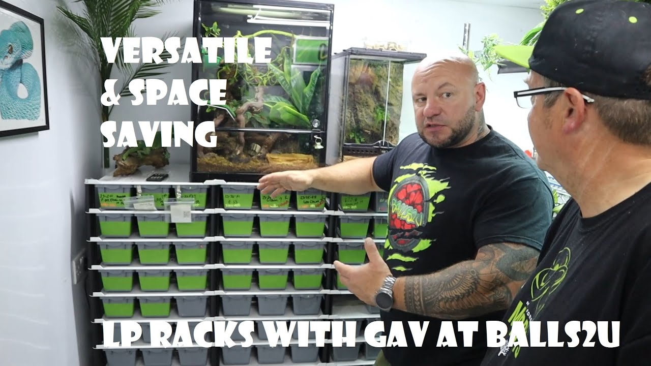 LP Racks Review with Gav at Balls2U - versatile and space saving - YouTube