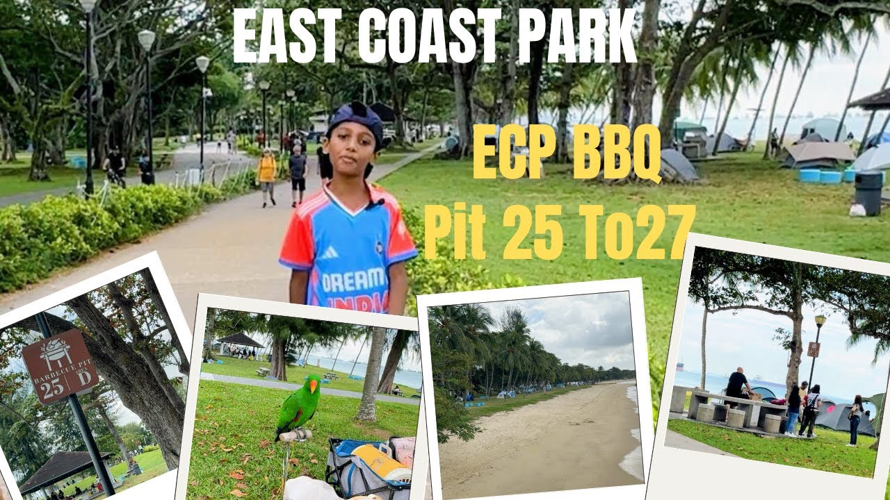 ECP BBQ Pit 25-27: Area D Best Spots for Sunset BBQs || EAST COAST PARK ...
