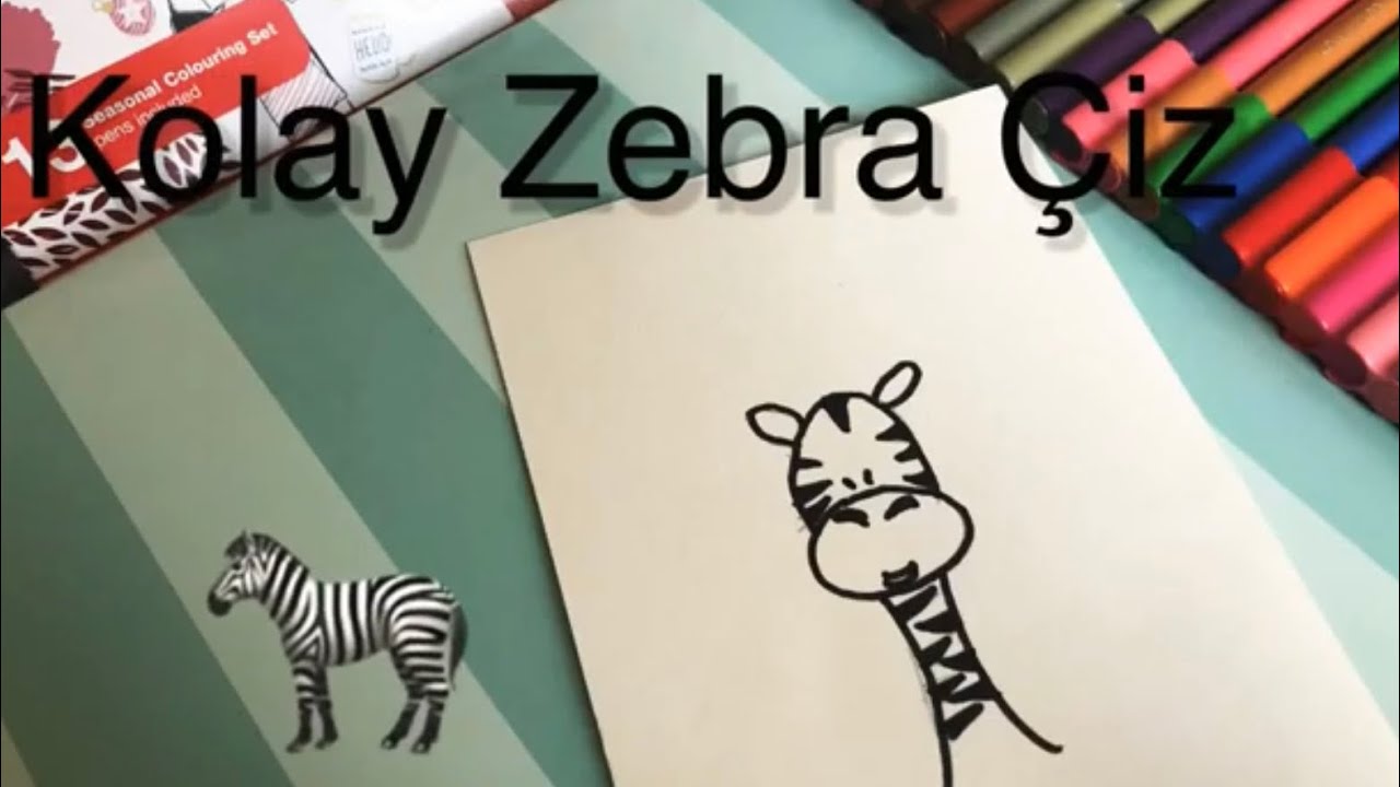 Zebra Çizimi :) / how to draw a zebra - YouTube