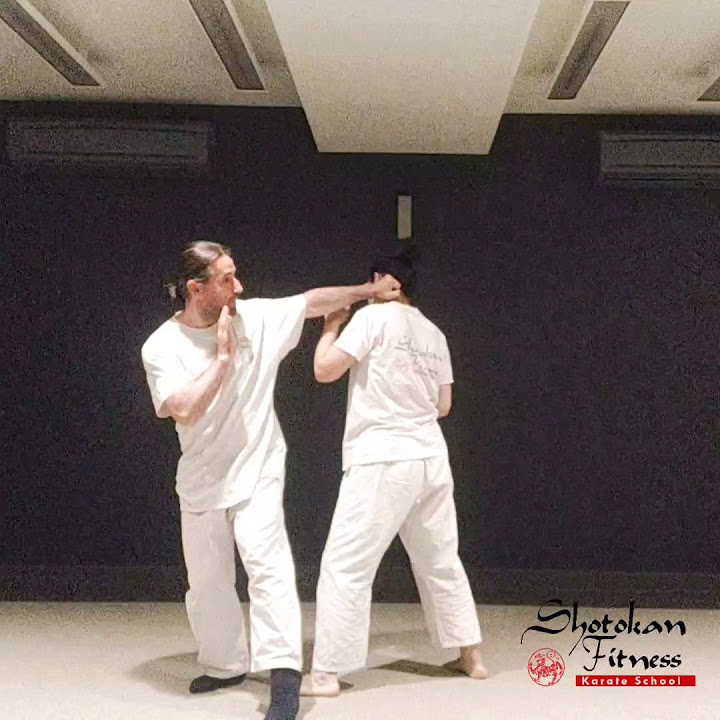Karate Training Self defense Techniques with Kata Shotokan Heian Sandan (Application) - Usu 🥋 ...