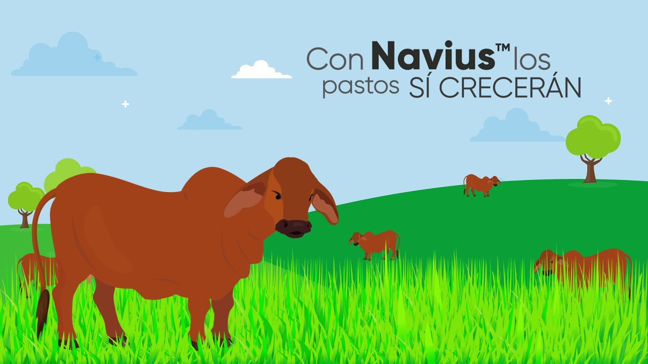 Navius® - Lo tiene todo ganado - YouTube