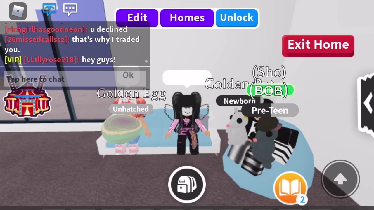 intro contest! w/ my friends | Flamingo Rblx - YouTube