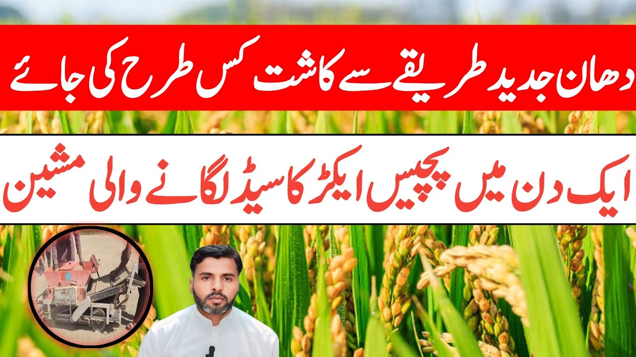 MODERN Paddy Farming Made EASY! || Farming Expert 786 - YouTube