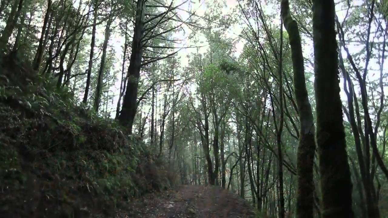 Reig Higher Vibe Bad Sentence sub d22 YouTube reig-higher-vibe-bad-sentence-sub-d22-youtube