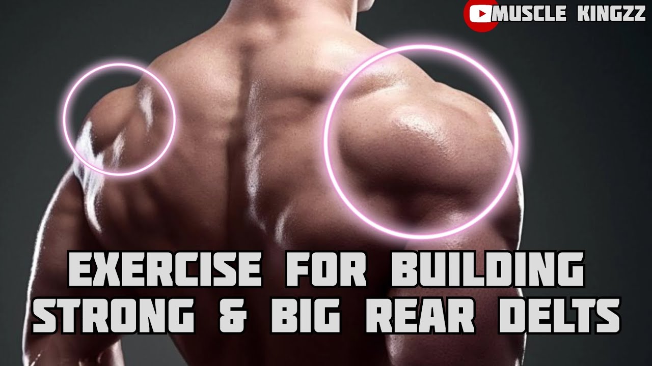 SHOULDER DAY - Exercise for building rear delts #shoulderworkout #traps ...