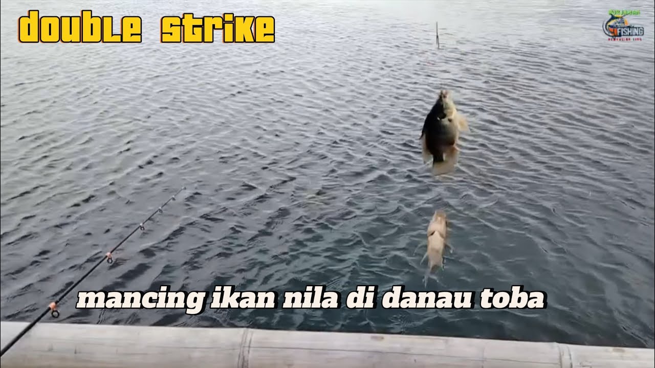 strike parah! serunya mancing ikan nila di danau toba! @nurjamancapilano7432 - YouTube