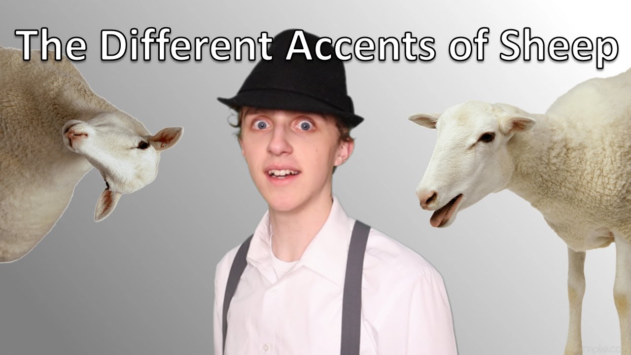 The Different Accents of Sheep - YouTube