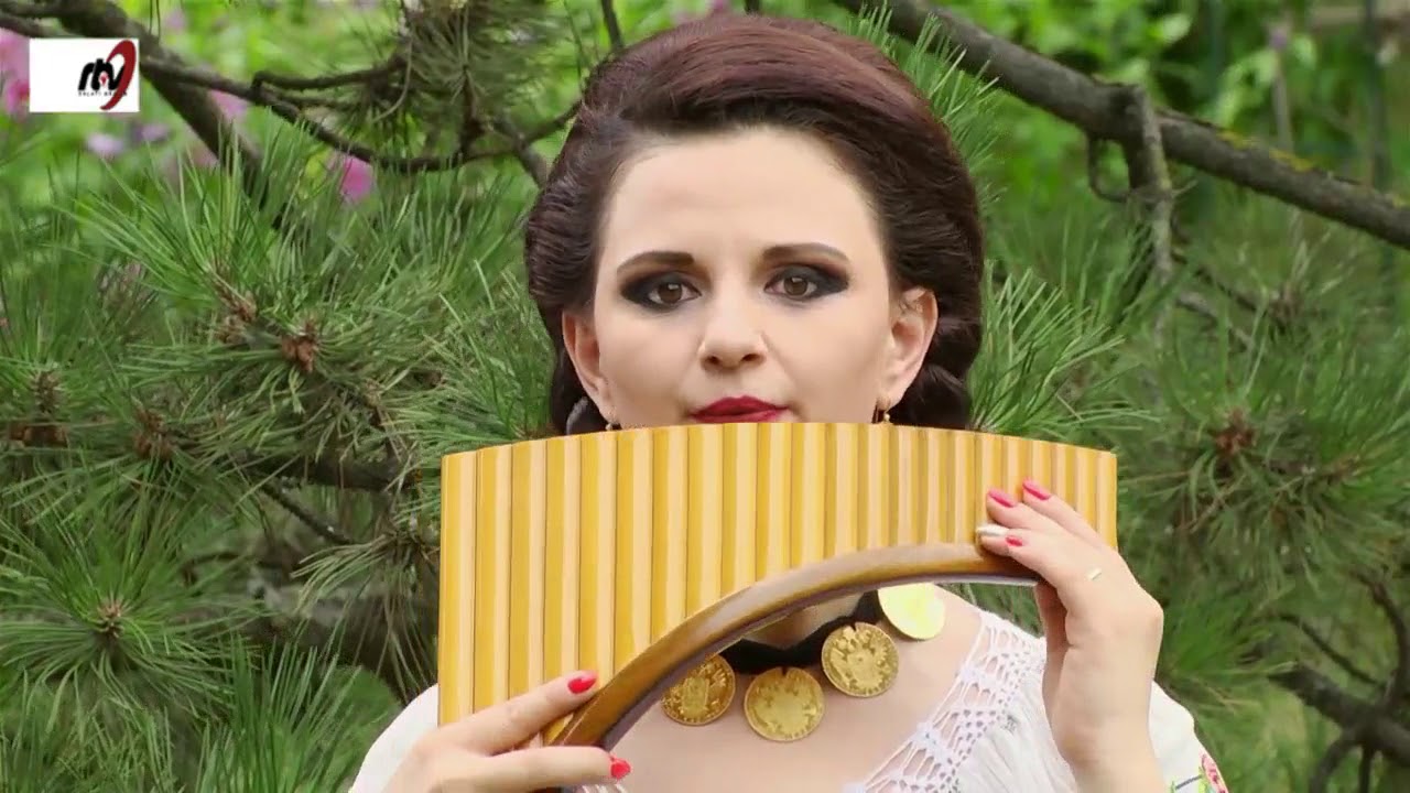 Ruxandra Pitulice si Gheorghe Rizea - Hora din Arges - YouTube