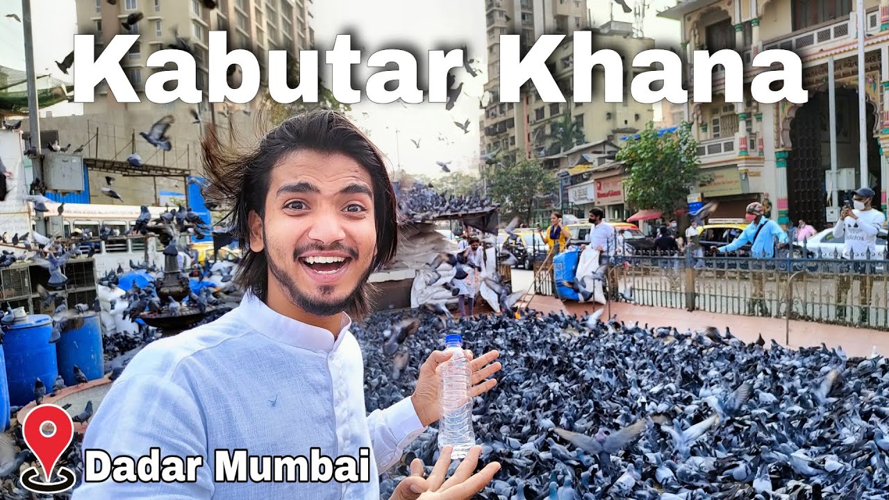 Mumbai dadar Kabutar khana | Addy ar vlog - YouTube