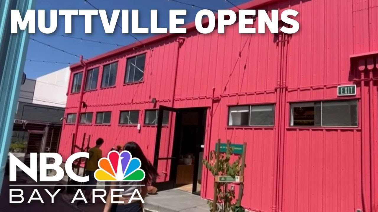 Muttville opens new headquarters in San Francisco - YouTube