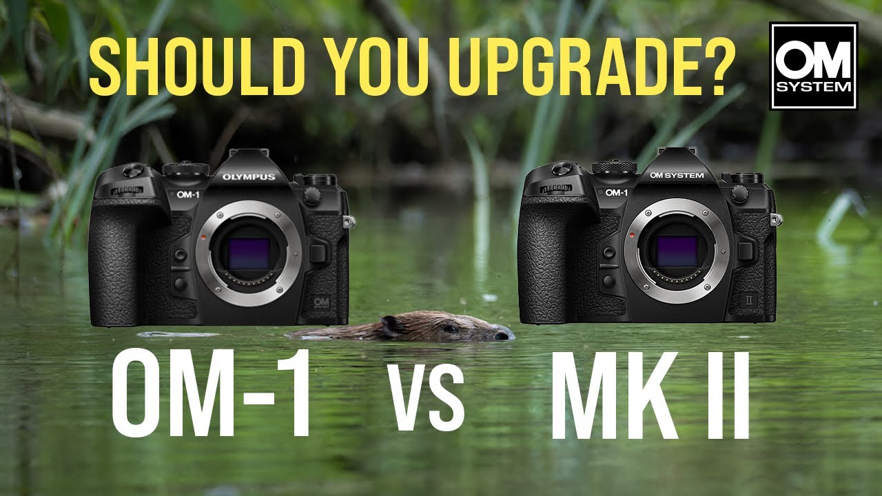 OM System OM-1 mk ii - Wildlife Photography Review - YouTube