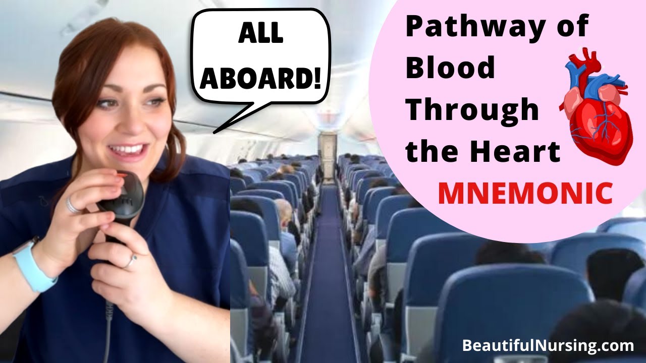 PATHWAY OF BLOOD THROUGH THE HEART MNEMONIC Explained in 5 Min or Less ...