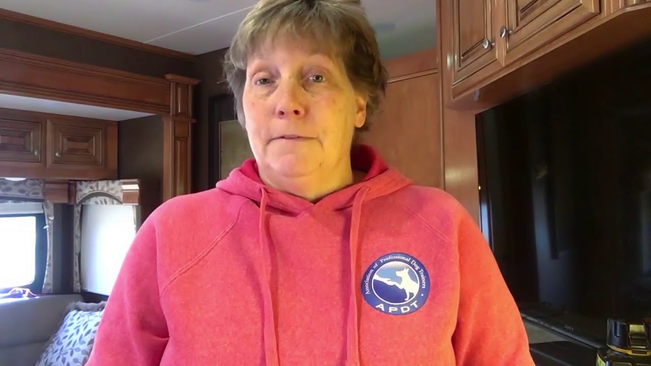 End of Year Board Chair Message 2017 - YouTube