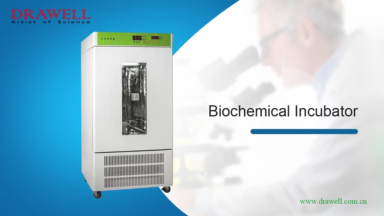Drawell 150L BOD Biochemistry Chamber Cooling Biochemical Vertical ...
