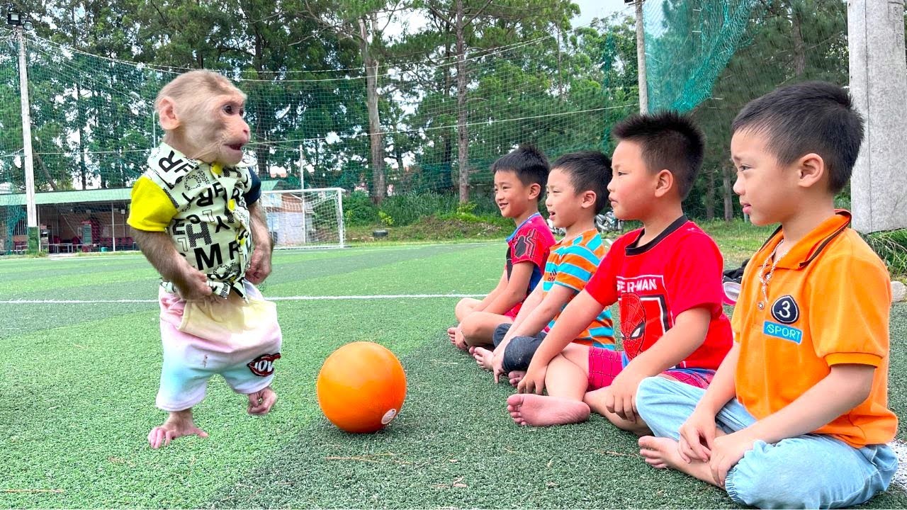 couldn't be more fun, what will Monkey Max and friends do - YouTube