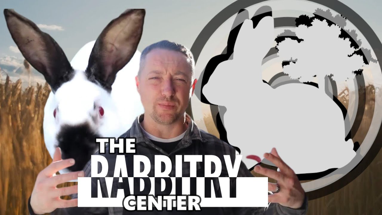 Welcome To The Rabbitry Center YouTube Channel - YouTube