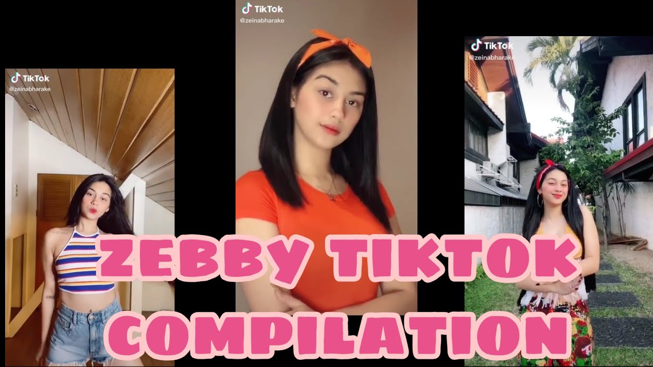 ZEINAB HARAKE ( TEAM ZEBBY ) TIKTOK | LigayaCompilation - YouTube