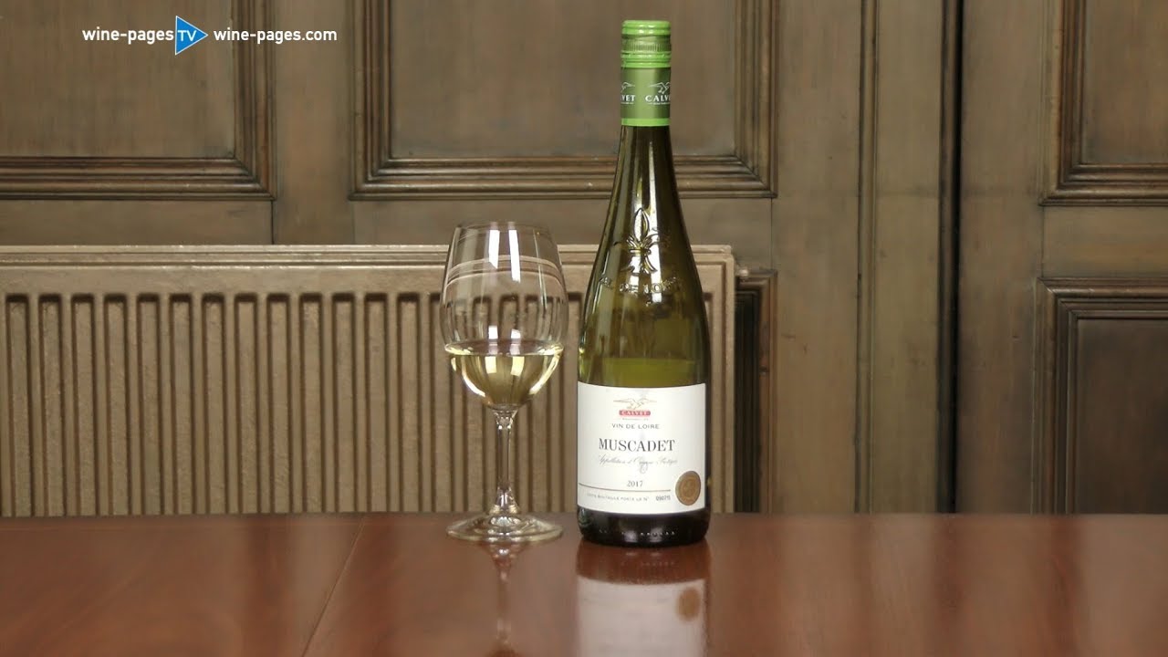 Calvet, Muscadet 2017, wine review - YouTube