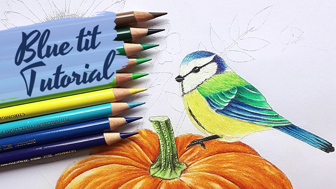 🐦 Blue Tit Tutorial - Davlina Art Illustration - YouTube
