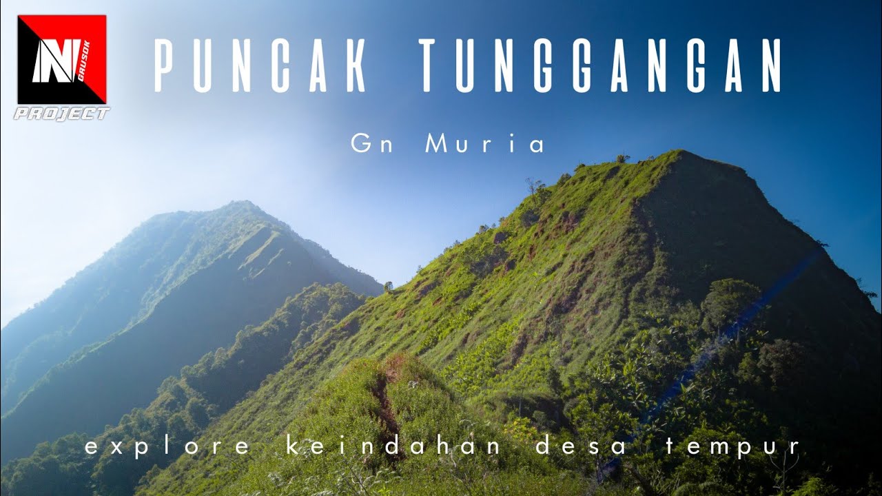 PENDAKIAN PUNCAK TUNGGANGAN GUNUNG MURIA Via Desa Tempur | NP Project ...