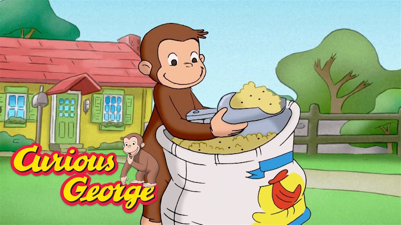 George Feeds the Birds! 🐵 Curious George 🐵 Kids Cartoon 🐵 Kids Movies ...
