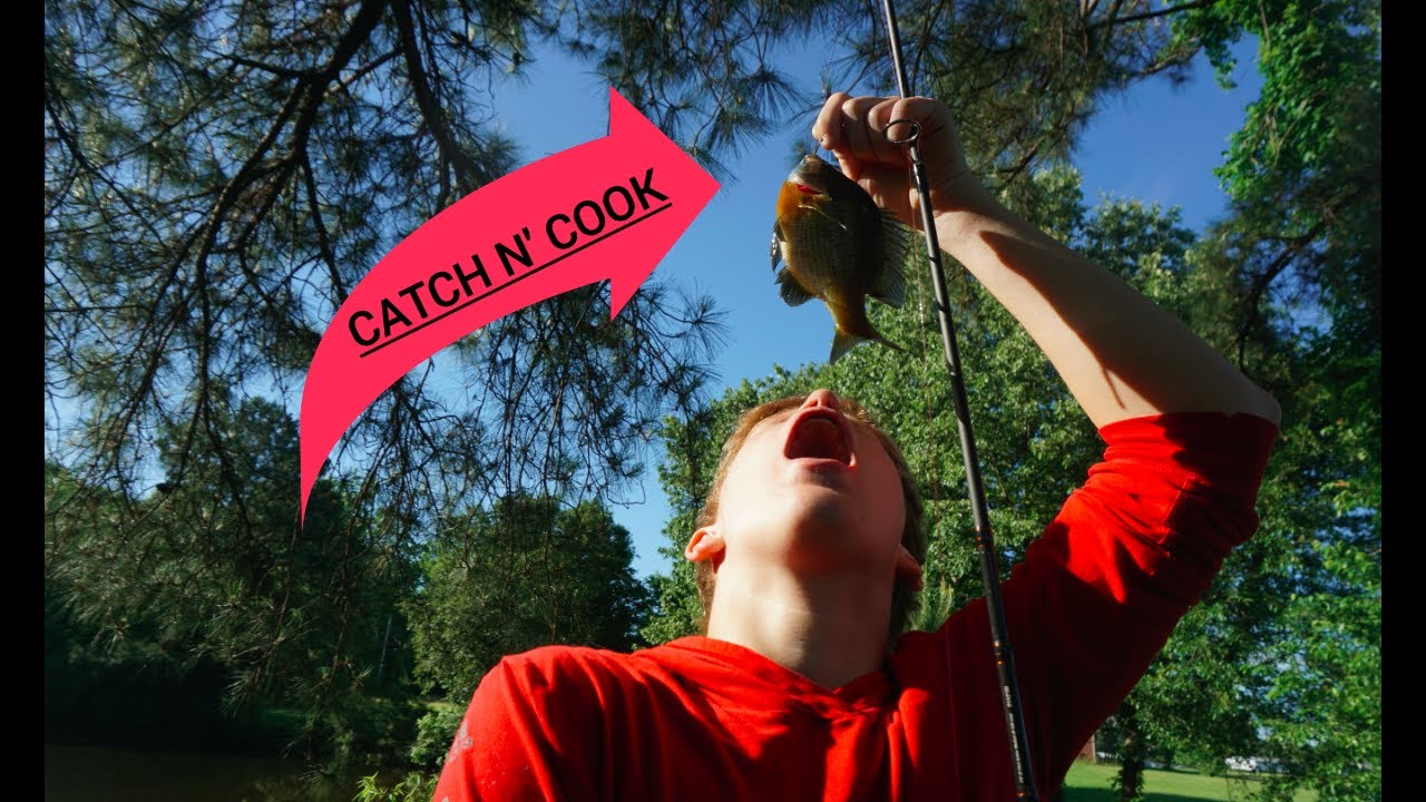 FISHING food chain challenge (catch and cook) - YouTube