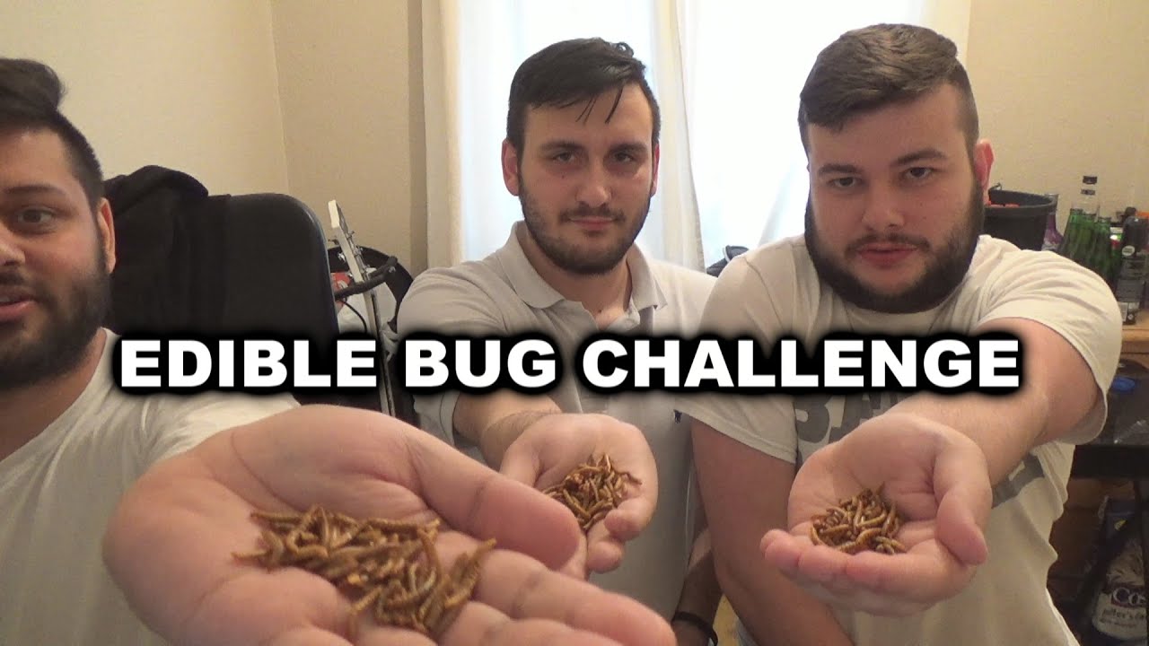 EDIBLE BUG CHALLENGE *VOMIT* - YouTube