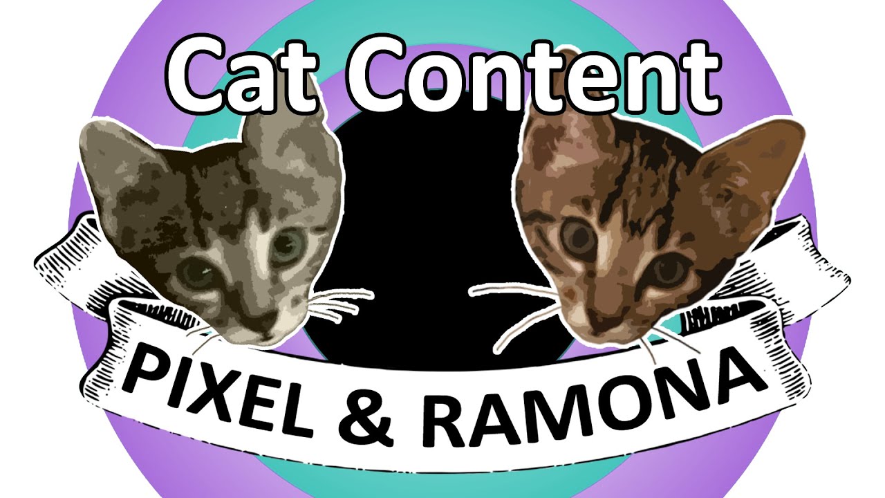 Pixel & Ramona - Cat Content - YouTube