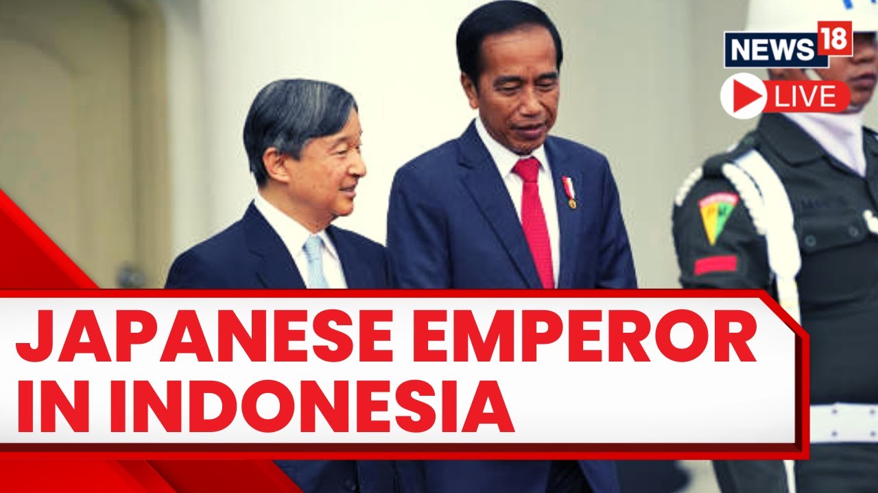 Japanese Emperor Naruhito Meets Indonesian President Widodo | Japan ...