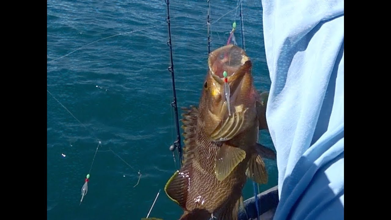 Two really big Estuary cod.... Good weather finally. - YouTube