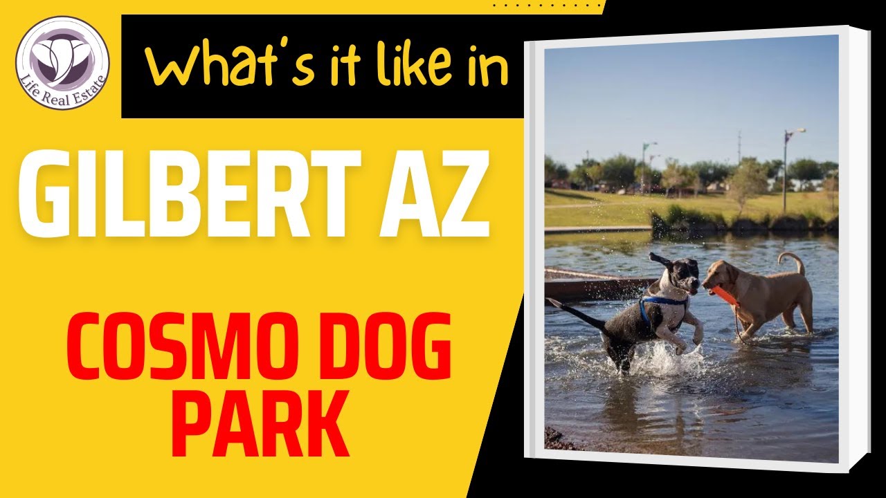 What's it like in Gilbert, Arizona? Cosmo Dog Park - YouTube