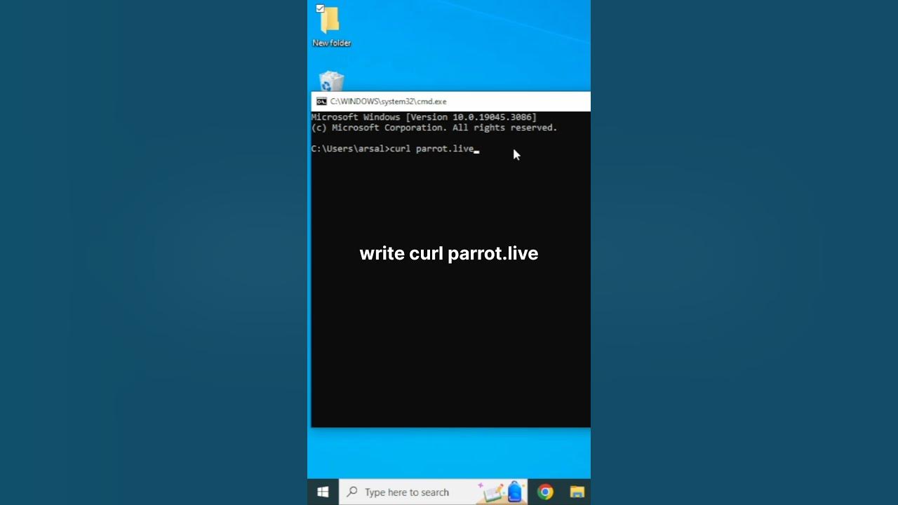 Parrot🦜 Dance In Cmd Prompt Window Dancing Parrot In Cmd Parrot In Cmd Windows Cmd Parrot