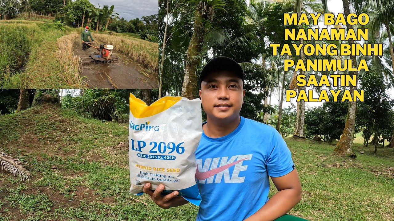 Pagsisimula para linisin ang aking dapugan at paggrascutter ng pilapil ...