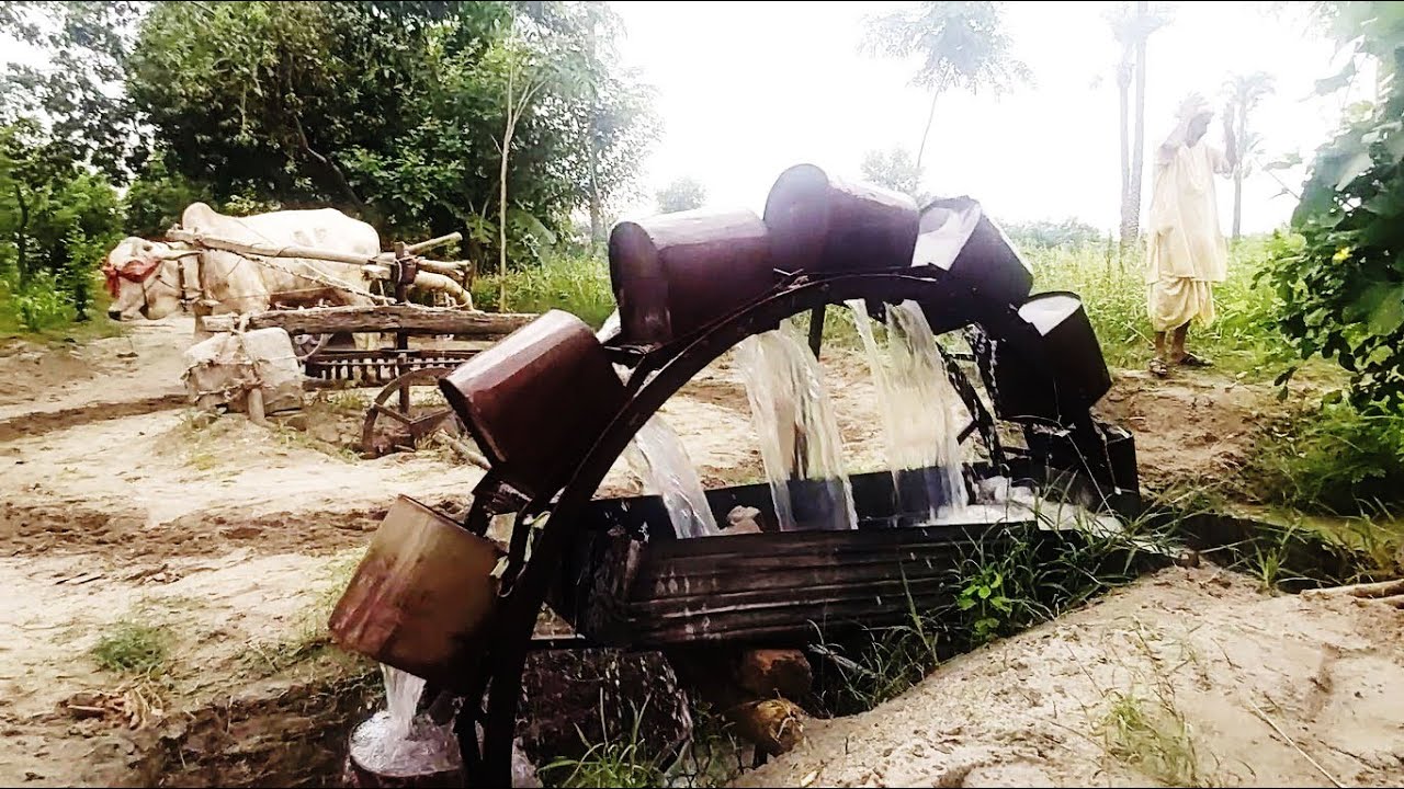 Old Punjab Agricultural Practices Persian Wheel Irrigation Rahat ...