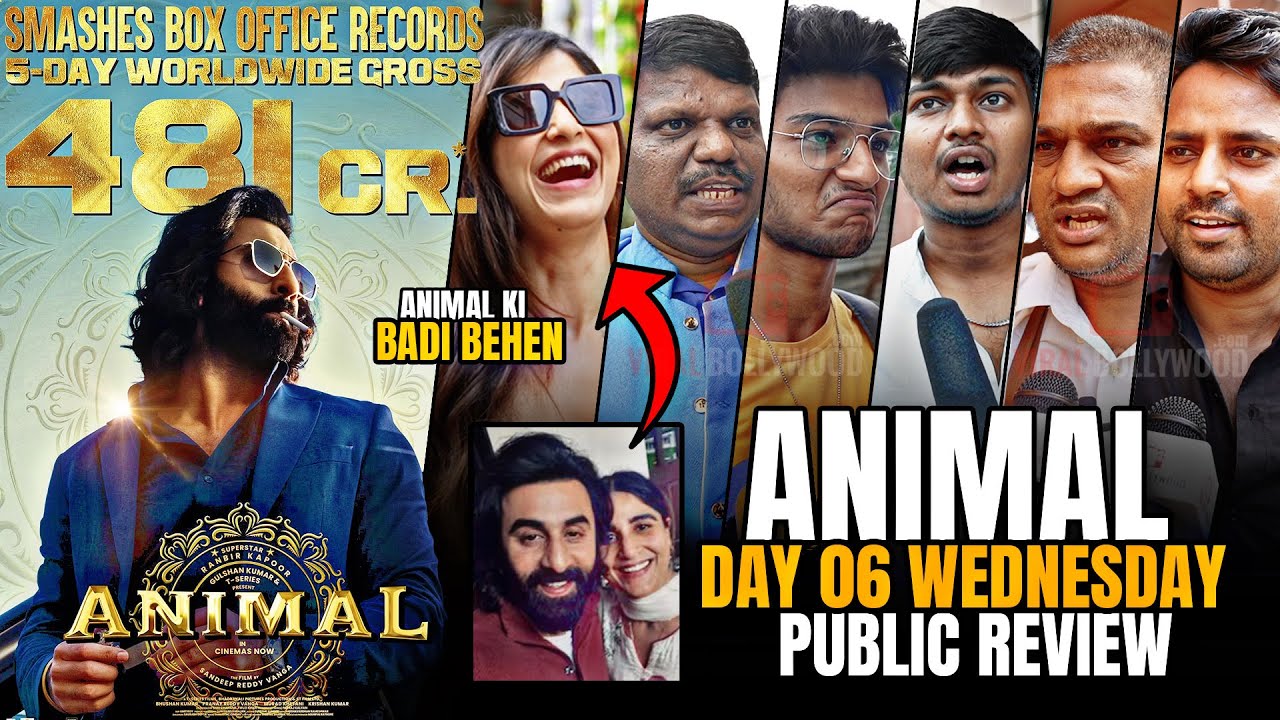 ANIMAL | Day 06 Wednesday | Public Uncut Review | Ranbir Kapoor, Bobby ...