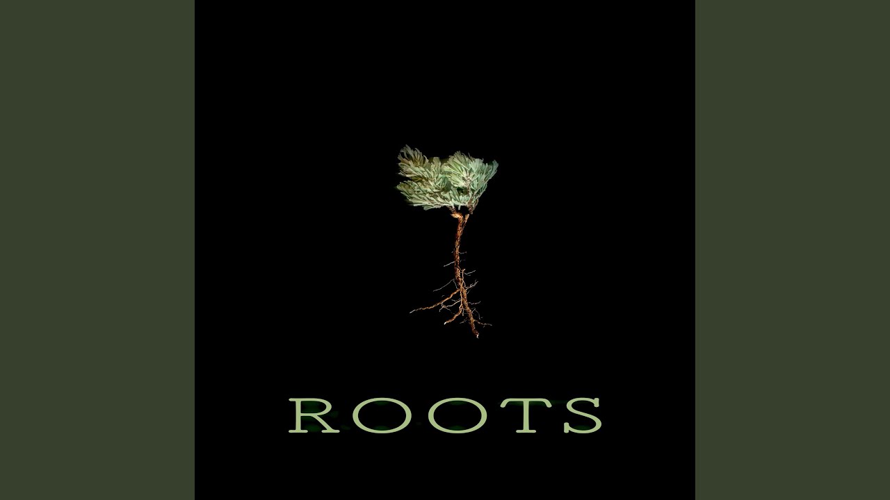 Roots YouTube roots-youtube