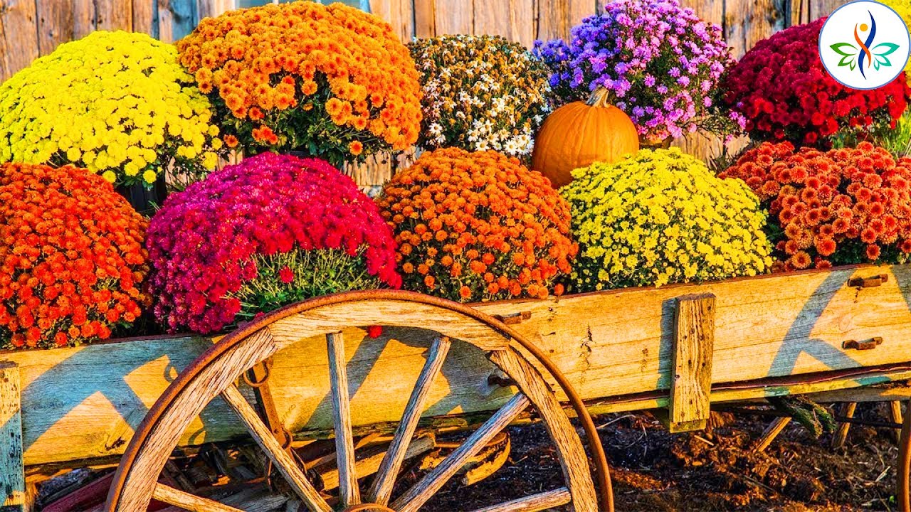 Relaxing Music, Fall Music, Peaceful Soothing Nature, " Cozy Porch ...