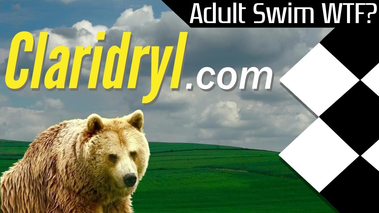 Exploring Unedited Footage of a Bear | Claridryl Website - YouTube