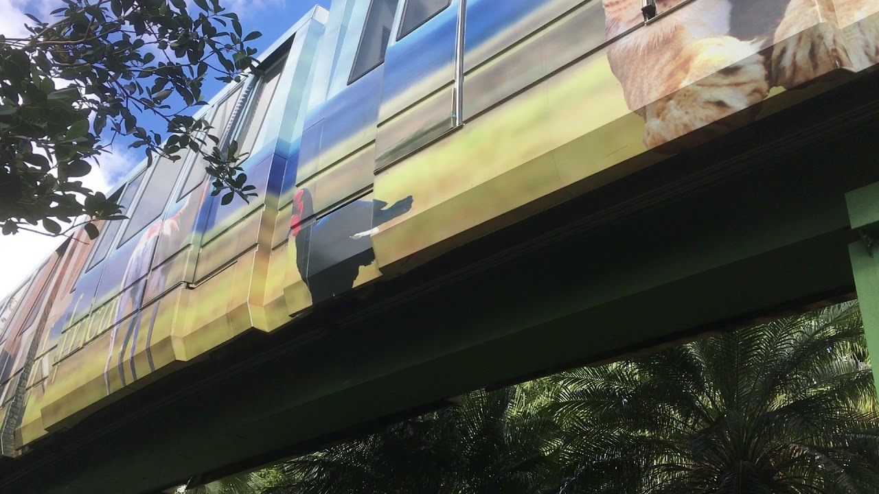 Zoo Miami Tram - YouTube