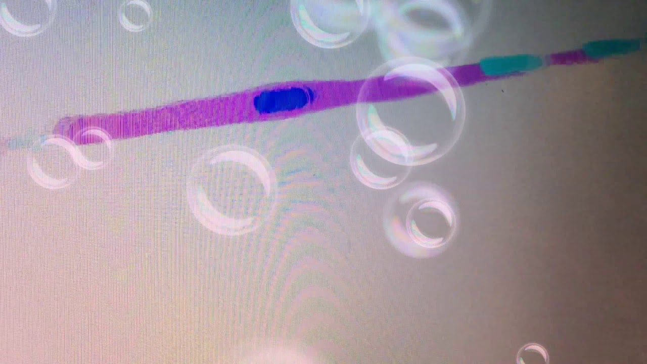 Burnt rice song but sped up - YouTube Music