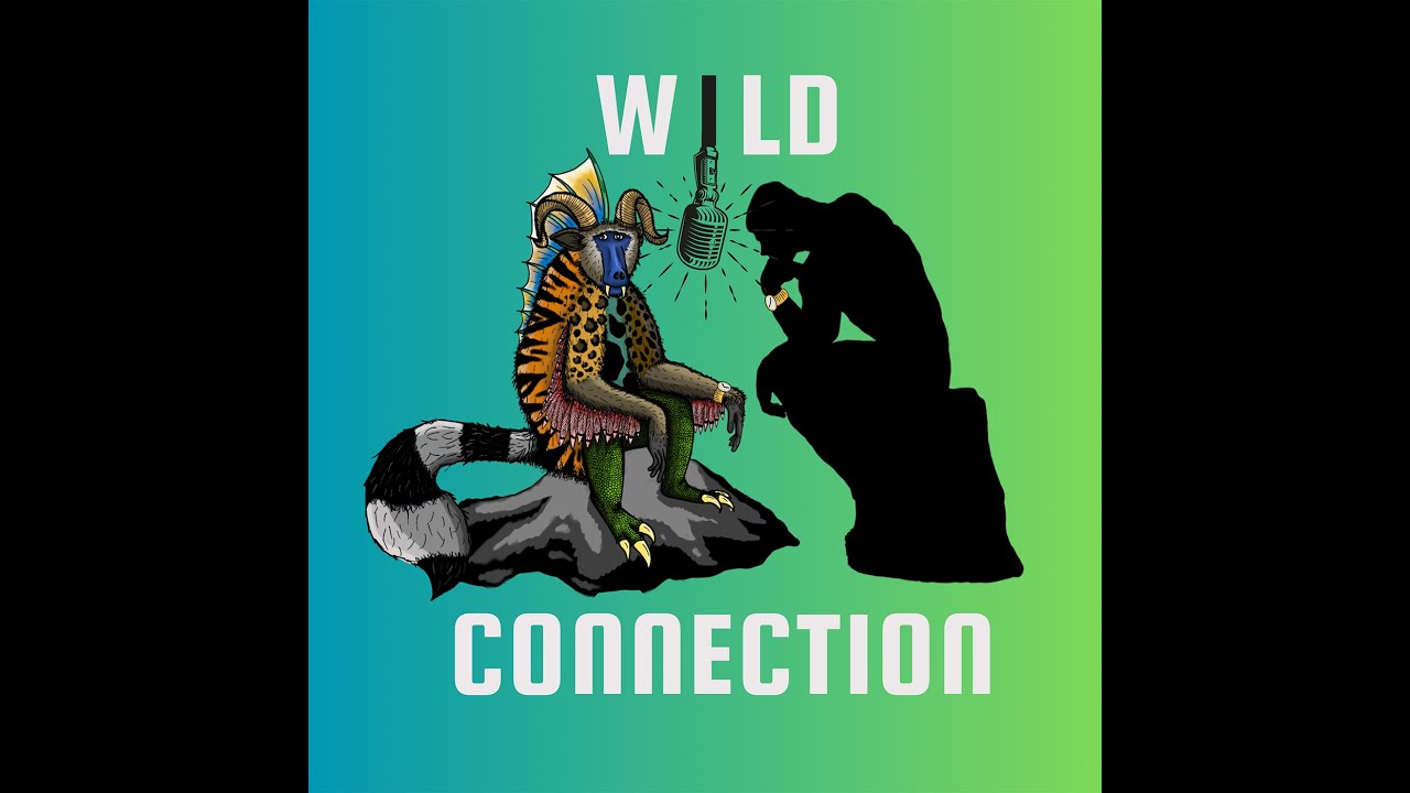 From One Cell with Ben Stanger - YouTube