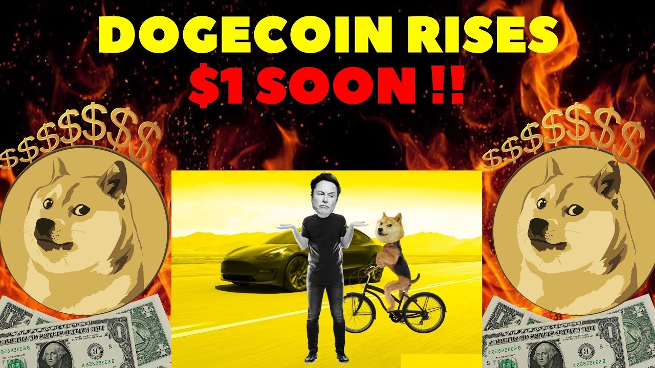 DOGECOIN NEWS TODAY🚨| DOGECOIN RISES $1 SOON !!!!|🚨DOGECOIN PRICE ...