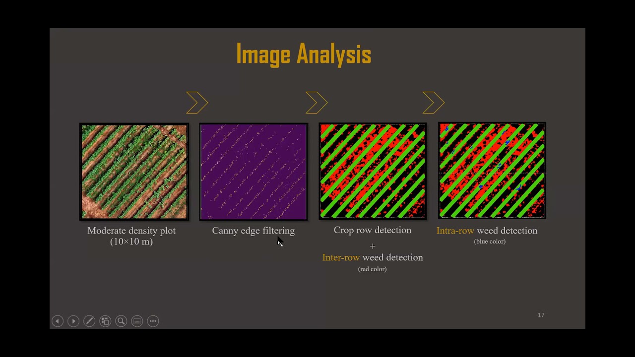 Remote Sensing and Computer Vision for Weed Detection and Mapping in ...