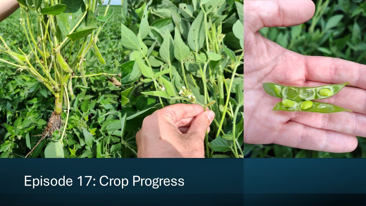 Season 2, Episode 17: Crop Progress - YouTube
