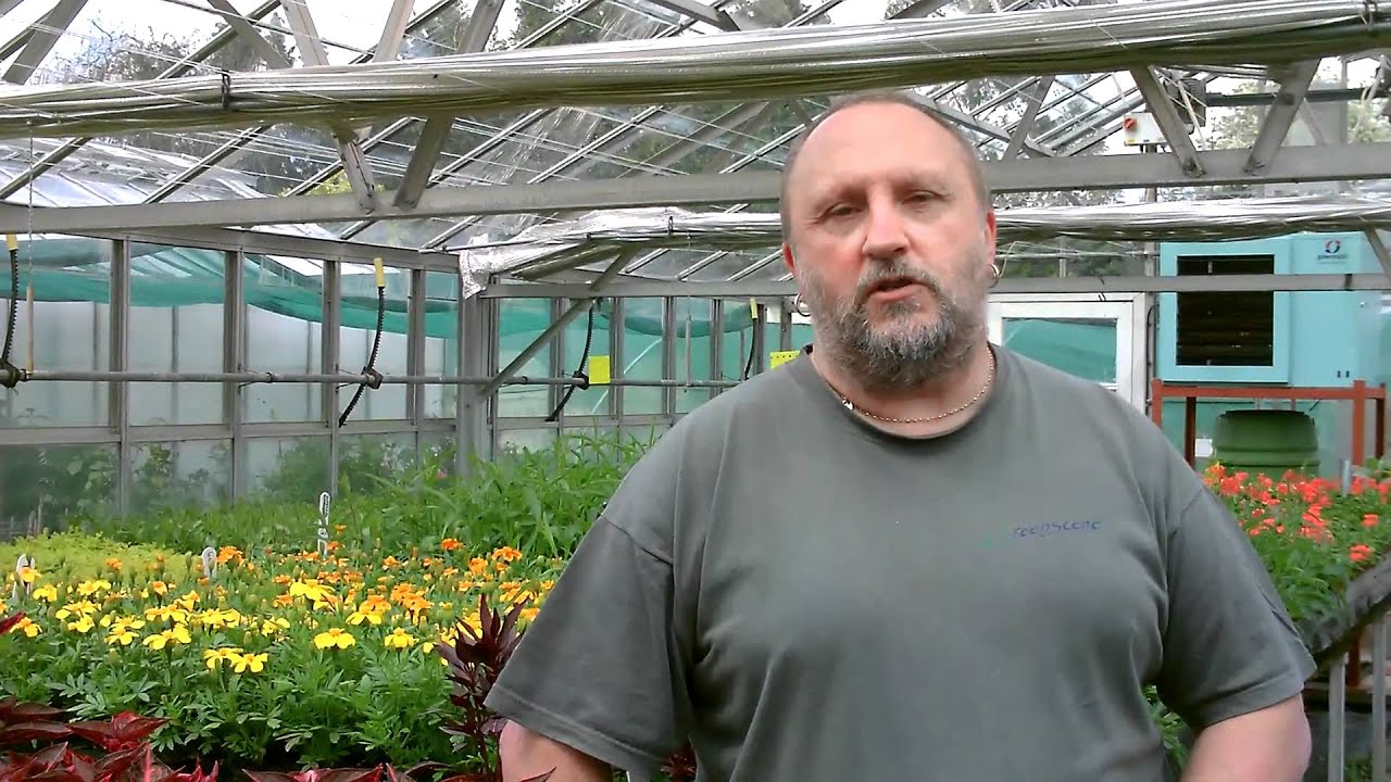 Garden Nursery Manager Updates On This Years Summer Activity YouTube garden-nursery-manager-updates-on-this-years-summer-activity-youtube