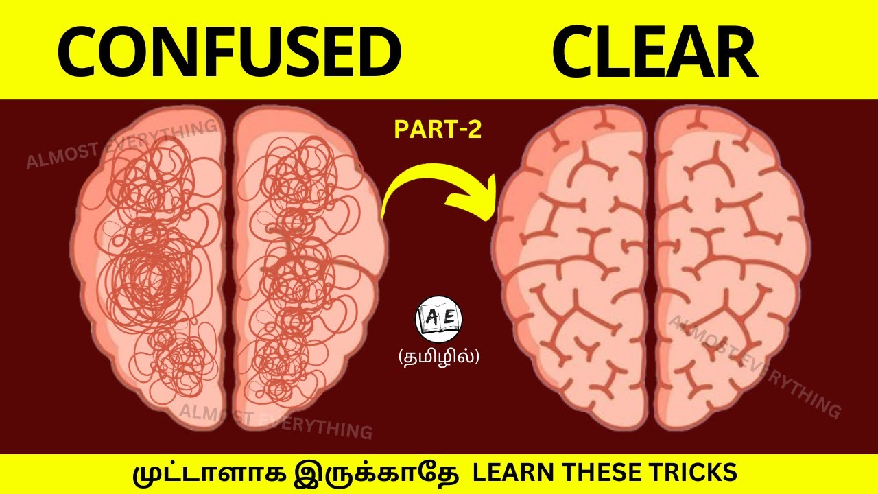 5 Mind Traps: How to Avoid Most Common Thinking Errors Mental Models ...